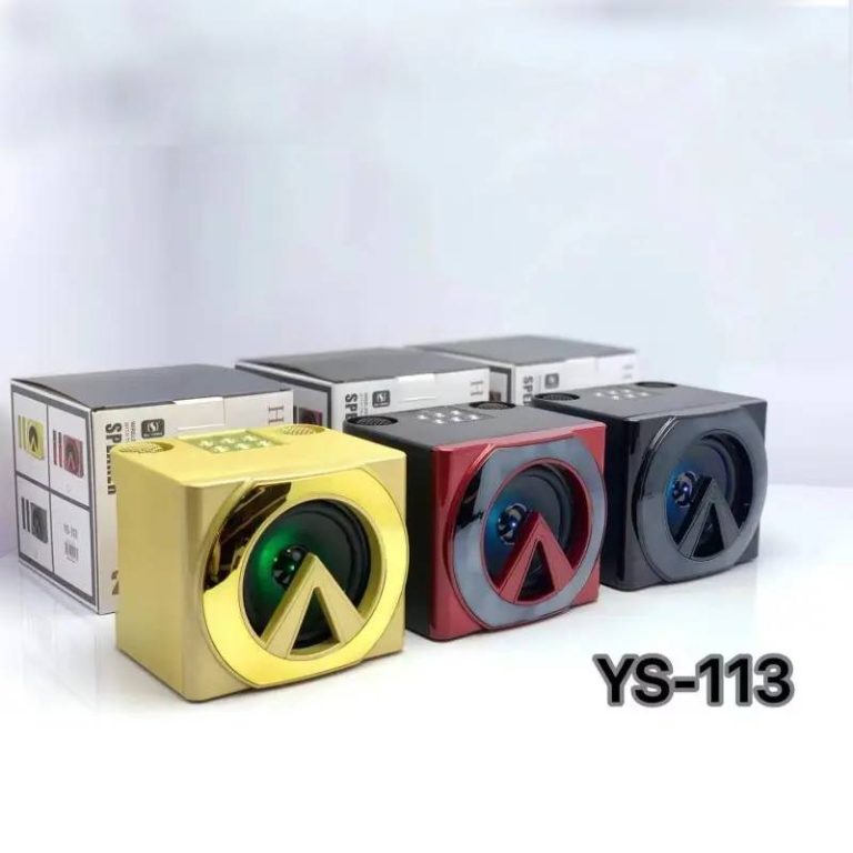 Loa karaoke ys-113 kèm 2 micro không dây | Phụ kiện Casu