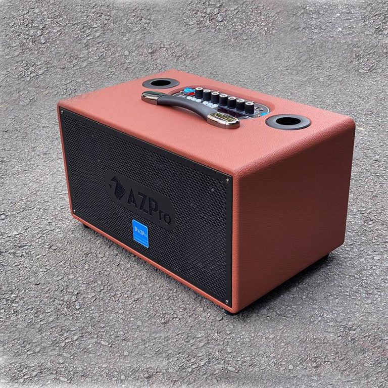 Loa karaoke AZPro AZ-338 2 micro không dây | Phụ kiện Casu